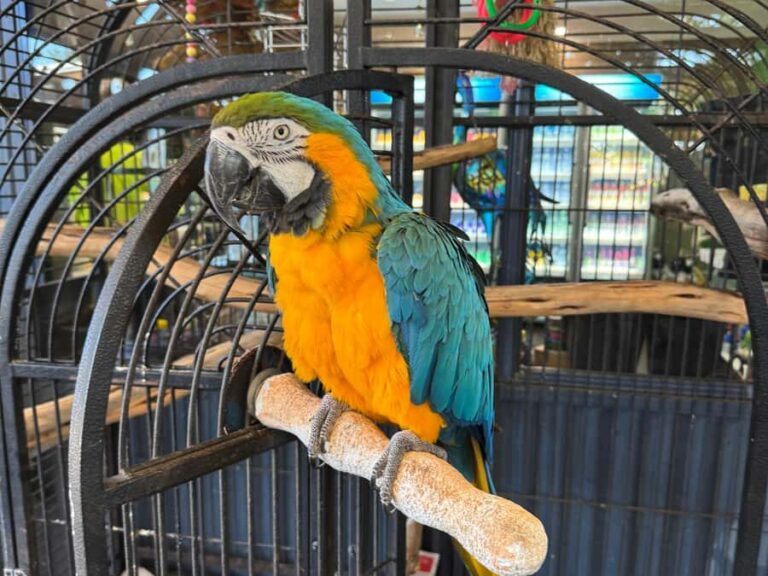 Airlie Beach: Sightseeing Bus Tour - Exploring the Itinerary: What to Expect at Each Stop