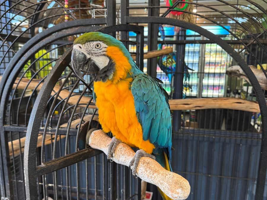 Airlie Beach: Sightseeing Bus Tour - Exploring the Itinerary: What to Expect at Each Stop