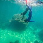 Airlie Beach: Whitehaven Beach Day Tour with Snorkel Option - Detailed Review of the Tour Experience