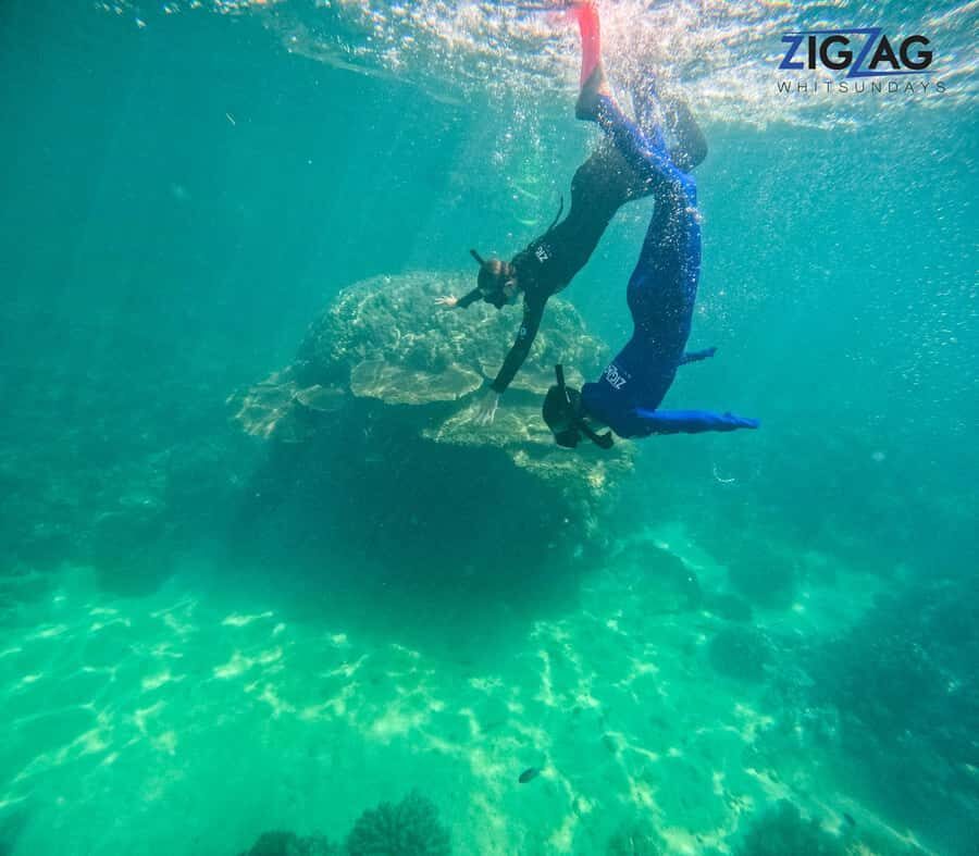 Airlie Beach: Whitehaven Beach Day Tour with Snorkel Option - Detailed Review of the Tour Experience