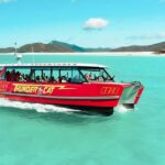 Airlie Beach: Whitehaven Full-Day Eco-Cruise with Buffet - Why This Tour Stands Out