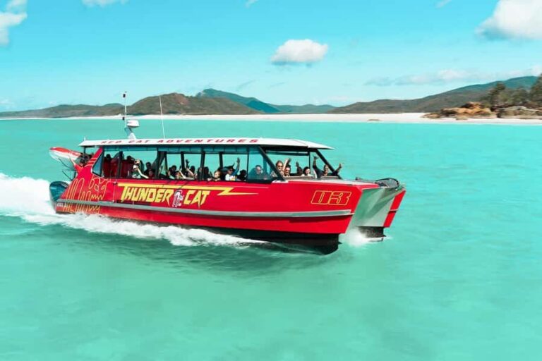 Airlie Beach: Whitehaven Full-Day Eco-Cruise with Buffet - Why This Tour Stands Out