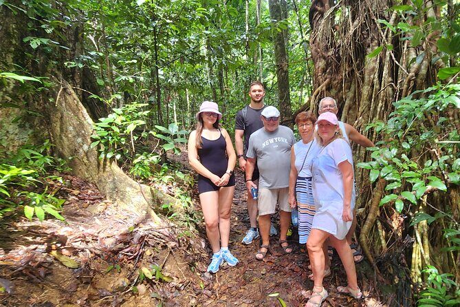 Airlie Waterfalls & Rainforest Bushwalk Eco Adventure - Who Will Love This Tour?