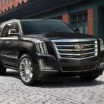 Airport Transfer: Mexico to Mexico Airport MEX by Luxury SUV - The Booking Process and Cancellation Policy