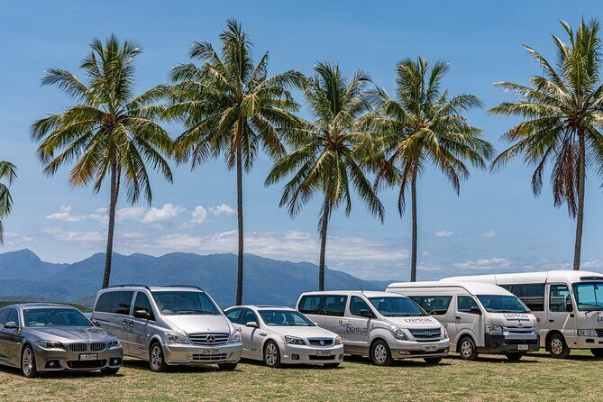 Airport Transfers between Cairns Airport and Port Douglas - The Journey to Port Douglas: What to Expect