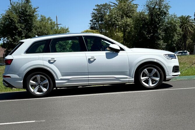 Airport Transfers - Chauffeur Car & Limo Services of Melbourne - Who Is This Service Best For?