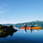 Akaroa: Akaroa Marine Reserve Sea Kayaking Tour - Why This Tour Stands Out