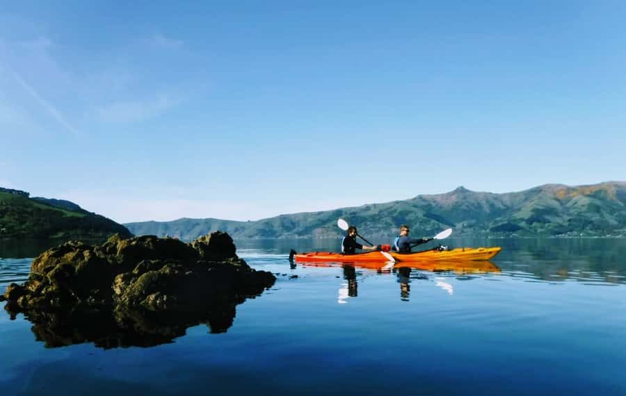 Akaroa: Akaroa Marine Reserve Sea Kayaking Tour - Why This Tour Stands Out
