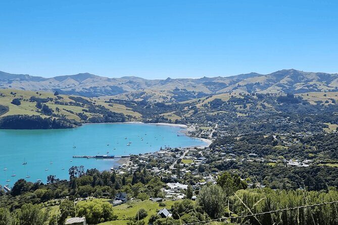 Akaroa and Akaroa Dolphins Day Tour - The Value of this Tour