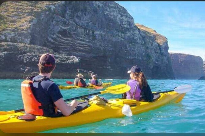 Akaroa Day Tour From Christchurch - What’s Included and What’s Not?