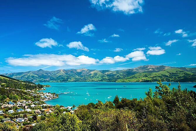 Akaroa Day Tour from Christchurch Return - The Sum Up: Is This Tour Right for You?