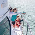 Akaroa Dolphins ~ Harbour Nature Cruise - The Value of the Tour