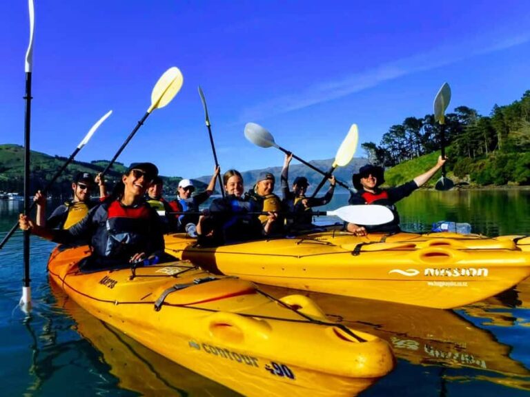 Akaroa: Electric Mountain Bike and Sea Kayak Adventure - The Logistics: Timing and Group Size