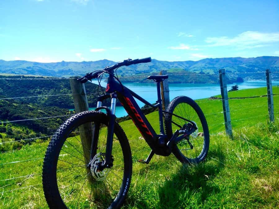 Akaroa Explorer: Guided Electric Mountain Bike Tour - What the Tour Includes and How It Runs