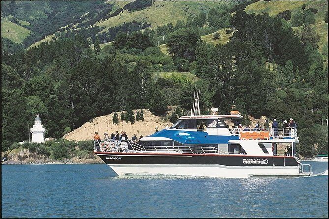 Akaroa Full Day Sightseeing Tour from Christchurch - The Value Proposition