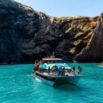 Akaroa Harbour 2-Hour Dolphin Nature Cruise - Authentic Insights from Traveler Reviews