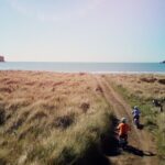 Akaroa Self Guided Electric Scooter Tour - Who Will Love This Tour?