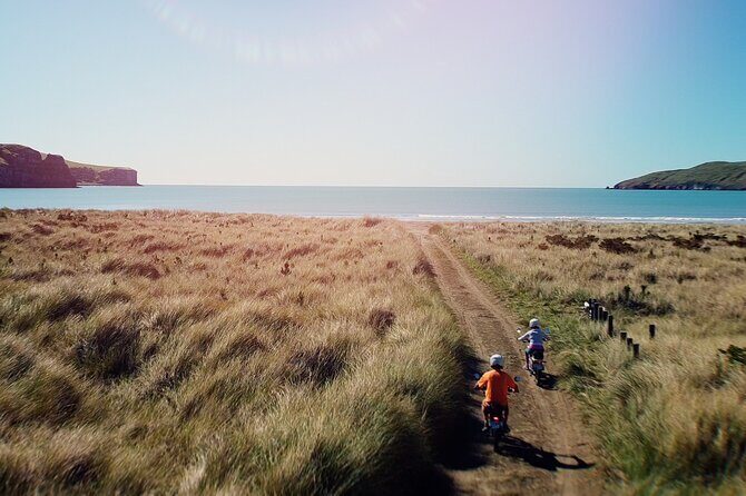 Akaroa Self Guided Electric Scooter Tour - Who Will Love This Tour?