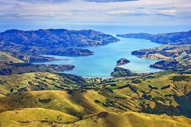 Akaroa Shore Excursion: Akaroa Harbour and Sheep Farm Local Tour - Who This Tour Suits Best