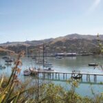 Akaroa Shore Excursion: Banks Peninsula and Christchurch City Sights Tour - What to Expect and Tips for Your Day