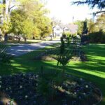 Akaroa Shore Excursion: Banks Peninsula, Christchurch City Tour and the International Antarctic Centre - Christchurch City Highlights