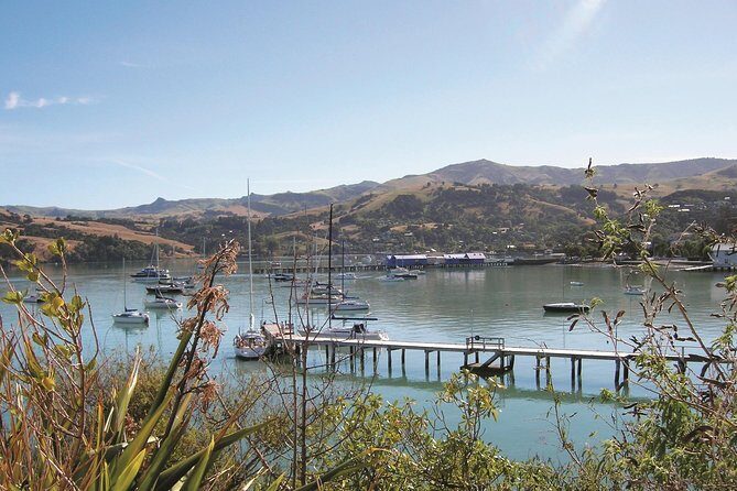 Akaroa Shore Excursion: Christchurch City Tour and Jet Boating - What You Get for the Price