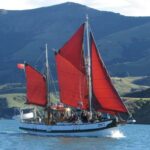 Akaroa: Wildlife Cruise with Dolphins and Penguins - Price and Value