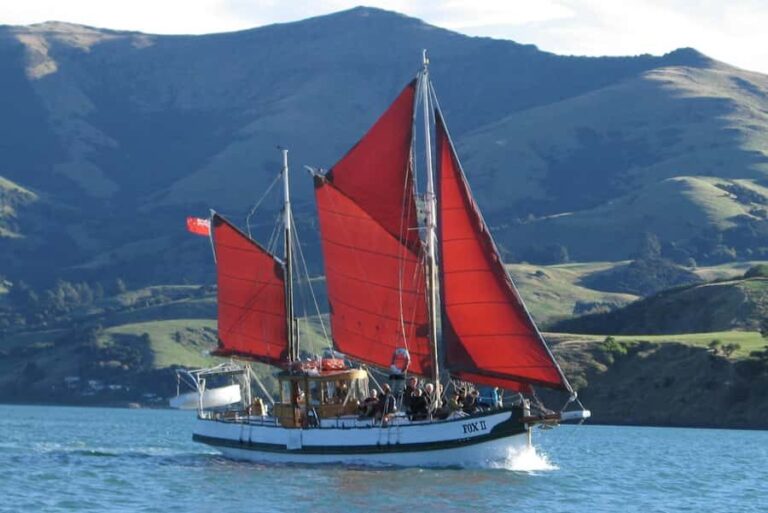 Akaroa: Wildlife Cruise with Dolphins and Penguins - Price and Value