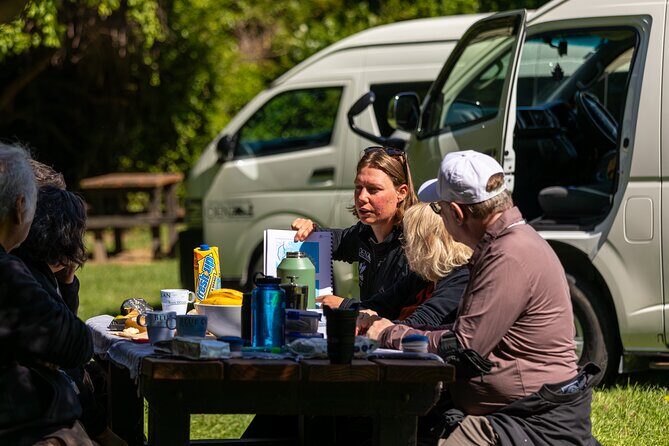 Akaroa with optional dolphin cruise (Small Group Tour) - Practical Details: What You Need to Know