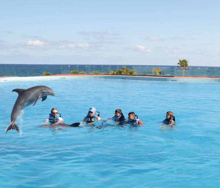Akumal: Dolphin Encounter - The Guide and the Experience