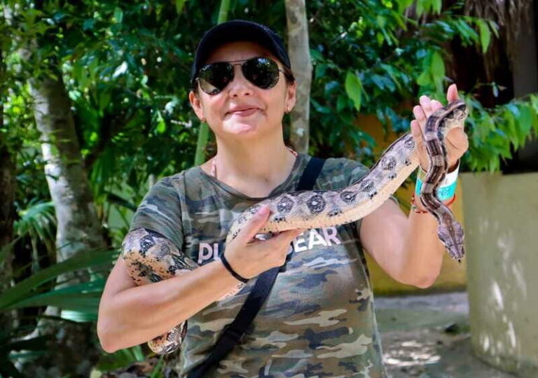 Akumal: Explore the Monkey Sanctuary, ATV Circuit and Cenote - Final Thoughts: Is This Tour Worth It?