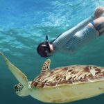 Akumal paradise tour Swimming with Turtles & ancient Tulum Ruins. Lunch included - Who Should Consider This Tour?