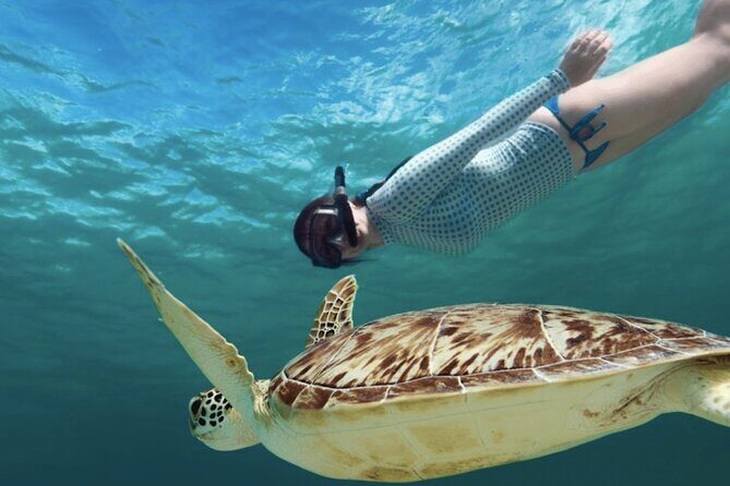 Akumal paradise tour Swimming with Turtles & ancient Tulum Ruins. Lunch included - Who Should Consider This Tour?