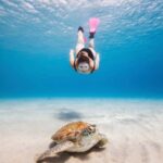 Akumal: Snorkeling Adventure with Turtles and Marine Life - An In-Depth Look at the Itinerary