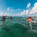 Akumal Snorkeling With Turtles - The Practical Side: Price, Duration, and Logistics