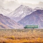 Alaska: Kenai Fjords & Denali National Park 5 Day Adventure - Valuing Your Experience