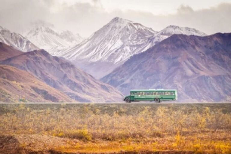 Alaska: Kenai Fjords & Denali National Park 5 Day Adventure - Valuing Your Experience