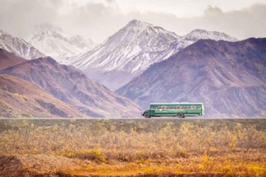 Alaska: Kenai Fjords & Denali National Park 5 Day Adventure - Valuing Your Experience