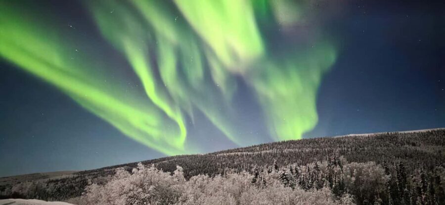 Alaska: Private Northern Lights Viewing Tour - The Itinerary and Experience