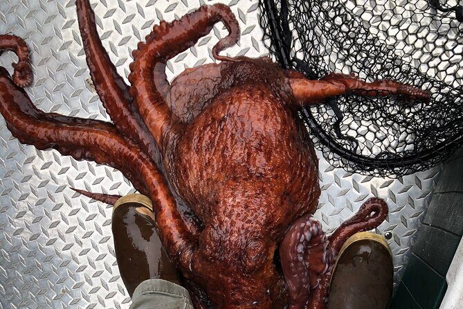 Alaskan Salmon Fishing with optional Adaptive Gear - Final Words