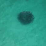 Albany: 30 min scenic helicopter flight - A Closer Look at the Itinerary and What to Expect