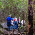 Albany: Guided Granite Skywalk in Porongurup National Park - The Real Value of This Tour