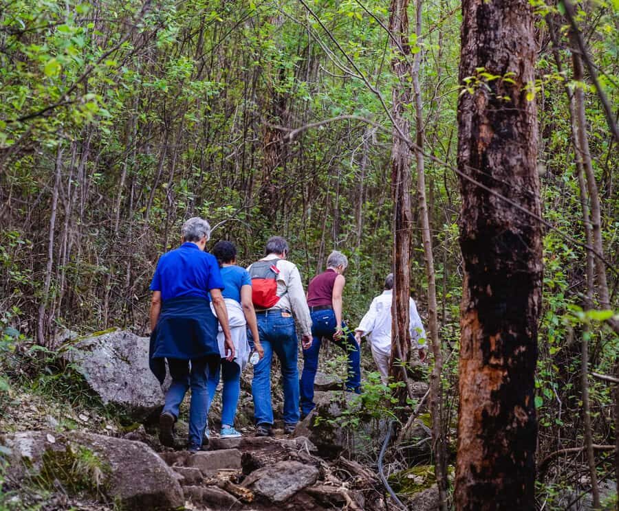 Albany: Guided Granite Skywalk in Porongurup National Park - The Real Value of This Tour