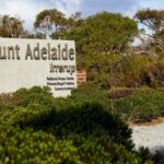 Albany History and Highlights Tour - A Detailed Look at the Itinerary