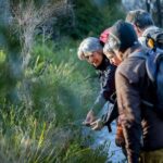 Albany: Lighting the Sound Twilight Hike - An In-Depth Look at the Albany Twilight Hike