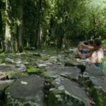 Albert Tours Excursion Safari - Moorea Safari tours&pick up - A Full Breakdown of the Moorea Safari Experience