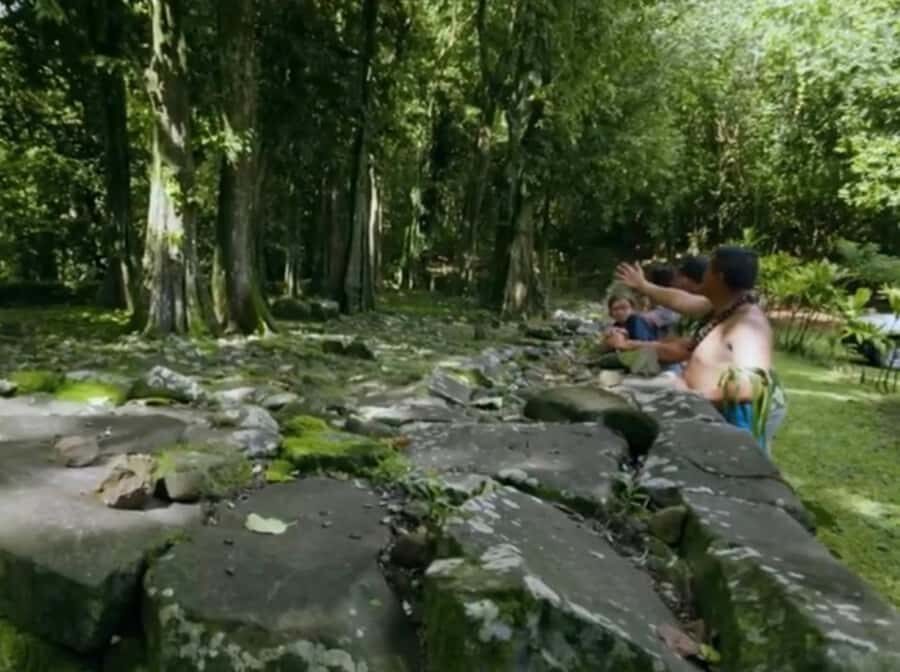 Albert Tours Excursion Safari - Moorea Safari tours&pick up - A Full Breakdown of the Moorea Safari Experience