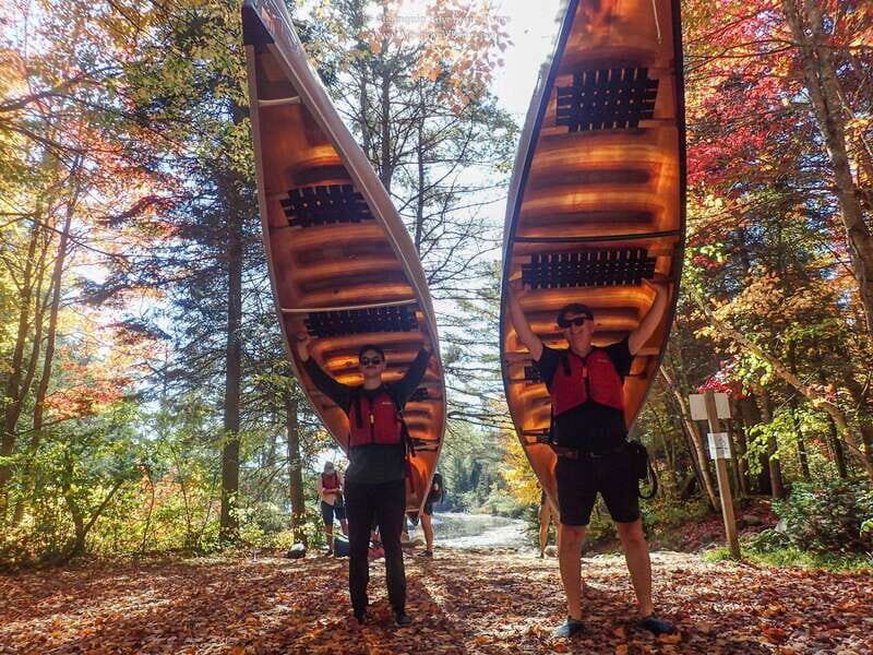 Algonquin Park: Canoe Camping Safari - Discovering Algonquin Park: What the Tour Offers