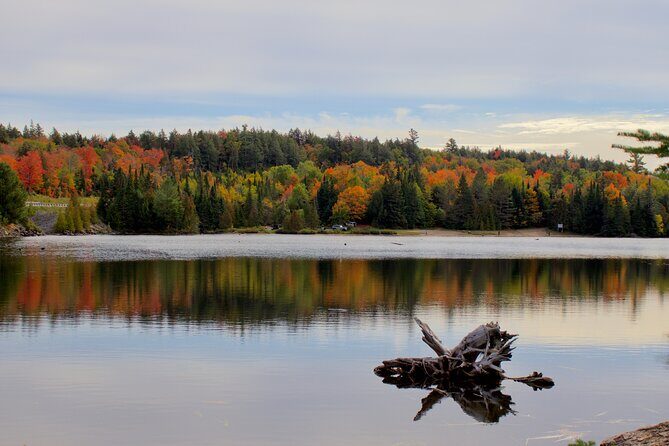 Algonquin Provincial Park Full Day Trip - Practical Details and What It Means for You