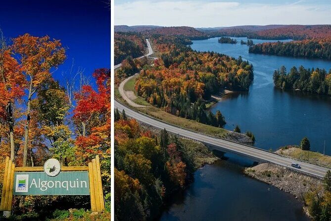 Algonquin Shuttle from Toronto - What’s Included and What’s Not?
